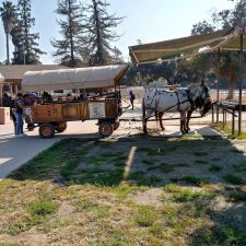 Griffith Park / Pony Rides - Los Angeles, CA 90027 - Hours, Directions ...