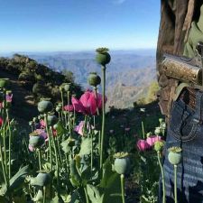 Morris K Udall Elementary - 3715 W Roosevelt St, Phoenix, AZ 85009