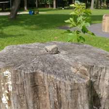 Emmaus Community Park - Emmaus, PA 18049 - Hours, Directions, Reviews