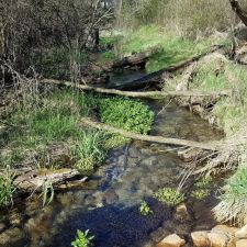 Paradise Springs Nature Trail - W374 S8640 County Rd N, Eagle, WI 53119 ...