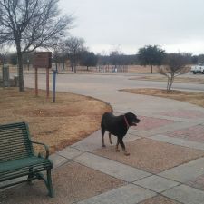 Running Bear Park - 2601 S Story Rd, Irving, TX 75060