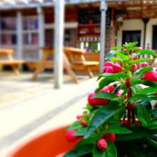 The Dovecote Inn - The Dovecote Inn Alders Road, Capel, Tonbridge TN12 ...