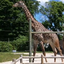 Racine Zoo - 2131 N Main St, Racine, WI 53402