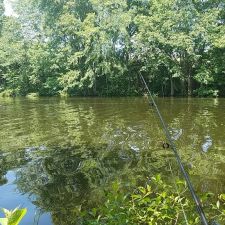 Lake Twitty Boathouse - 2119 Old Camden Rd, Monroe, NC 28110 - Hours ...