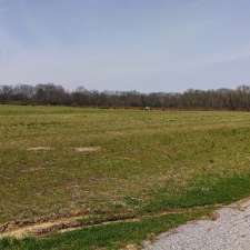 Cohansey River Wildlife Management Area - Bridgeton, NJ 08302, USA ...