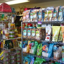 Feathered Follies - 1820 Arnold Industrial Way, Concord, CA 94520 ...