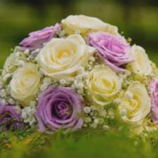 Garden Living - Lower Bedfords Rd, Romford RM1 4DQ, UK - Hours ...