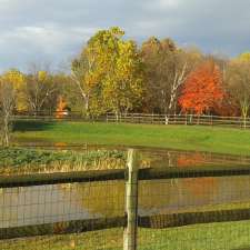 Ballenger Creek Park, 5420 Ballenger Creek Pike, Frederick, MD 21703, USA