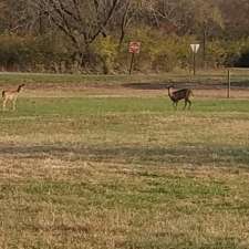 Lilly Recreation Park - Indianapolis, IN 46221 - Hours, Directions, Reviews