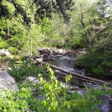 Wildcat Falls Conservation Area - Merrimack, NH 03054, USA - BusinessYab