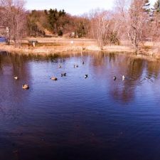 Muldoon Park - 27 Muldoon Pkwy, Pelham, NH 03076 - Hours, Directions ...