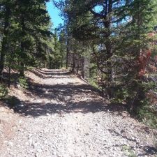 South Saint Vrain Trailhead - 173 Co Rd 96, Ward, CO 80481, USA ...