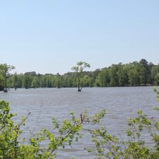 Stumpy Lake Natural Area - 4797 Indian River Rd, Virginia Beach, VA ...