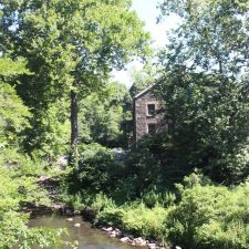 Thain Family Forest - Bronx Park Rd, The Bronx, NY 10458 - Hours ...