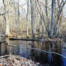 Zekiah Swamp Natural Environment Area - La Plata, MD 20646 - Hours ...