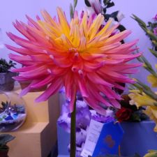 Spring Grove Hospital Center -Maryland Psychiatric Research - 55 Wade ...