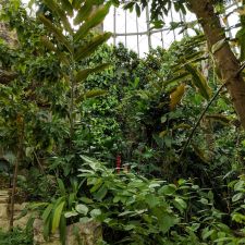Cockrell Butterfly Center - Houston Museum District, Houston, TX 77004 ...