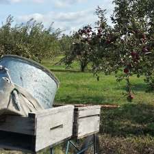 Watchtower Bible School of Gilead - Patterson, NY 12563 - Hours ...