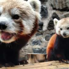 Brandywine Zoo - 1001 N Park Dr, Wilmington, DE 19802 - Hours ...