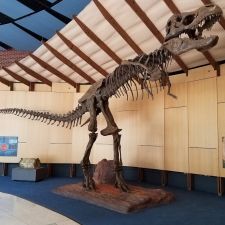 The Schiele Museum of Natural History & Planetarium in 1500 E Garrison ...