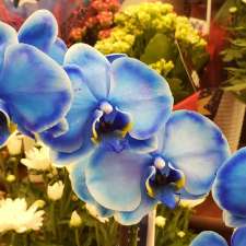 Albertsons Floral - Carson, CA 90745 - Hours, Directions, Reviews