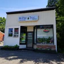 46 pine tree spa | Massage Spa in Kenvil NJ in 694 US-46, Kenvil, NJ ...