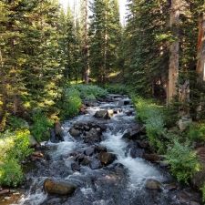 Mitchell Lake Trailhead in Forest Rd 1122C, Ward, CO 80481, USA