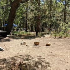 Lobo Group Campground - 43270 CA-38, Angelus Oaks, CA 92305 - Hours ...