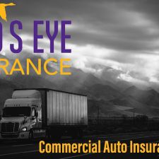 Bird’s Eye Insurance - 130 N Preston Rd Ste 100, Prosper, TX 75078 ...