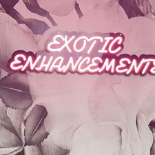 Exotic Enhancements - 401 Western Ln, Irmo, SC 29063 - Hours ...