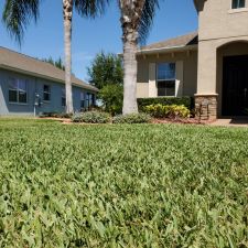Indoor Pest Control, Sarasota | Bradenton, Your Green Team - 2709 ...