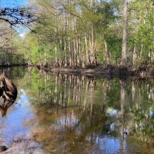 Withlacoochee State Trail - Withlacoochee State Trail, Ridge Manor ...