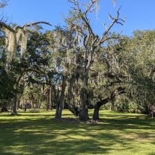 Rotary Riverfront Park - 8000 E Fowler Ave, Temple Terrace, FL 33637 ...
