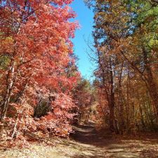 Fourth of July Trailhead - Torreen Tajique Loop Rd, Estancia, NM 87016 ...