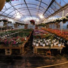 Seven C's Nursery - 136 County Rd 2730, Walnut Springs, TX 76690 ...