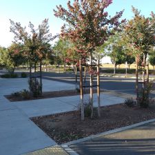 Walnut Grove School - 775 N Hartley St, Patterson, CA 95363, USA ...