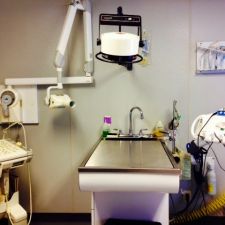 Merrick Veterinary Group - 61 Sunrise Hwy, Merrick, NY 11566