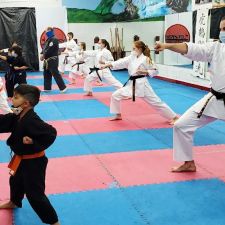 World Tiger and Crane Goju-Ryu Karate-Do Organization in 1550 W 84th St ...