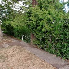 Stevens Triangle - 3809 E John St, Seattle, WA 98112 - Hours ...