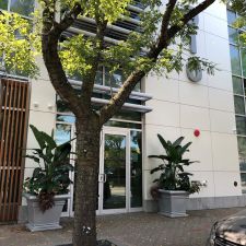 Borrelli & Associates P.L.L.C., 910 Franklin Ave #200, Garden City, NY ...