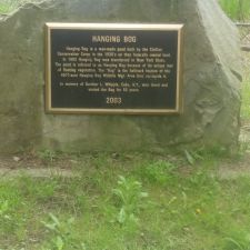 Hanging Bog Wildlife Management Area - Caneadea, NY 14717