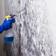 Old Colony Mold Inspections in 39 Grant St, Framingham, MA 01702 ...