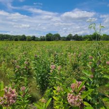 Sandy Ridge Reservation - 6195 Otten Rd, North Ridgeville, OH 44039 ...