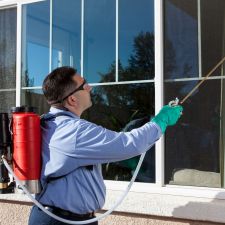 INDY Pest Control Solutions - 630 E Market St, Indianapolis, IN 46202 ...