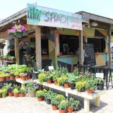 The Shack - 712 Atlantic Ave, Virginia Beach, VA 23451 - Hours ...