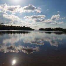 Fort Hamer Park - 1605 Fort Hamer Rd, Parrish, FL 34219 - Hours ...