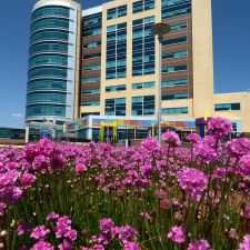Inova Fairfax Hospital - 3300 Gallows Rd, Falls Church, VA 22042