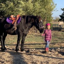 Flying G Ranch and Trinity Grove Party and Event Venue - 2636 Patrick ...