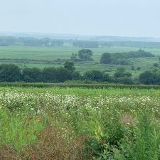 Riverton Wildlife Unit - 2321 330th Ave, Riverton, IA 51650 - Hours ...
