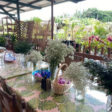 Waiahole Nursery & Garden Center - 48-190 Kamehameha Hwy, Kaneohe, HI ...